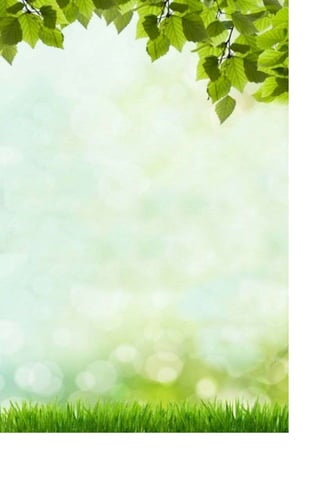 Class-Program-Grade-3- (1).docx