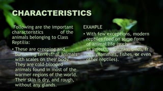 Class-Reptilia -sky | PPT