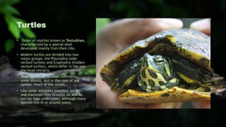 Class-Reptilia -sky | PPT