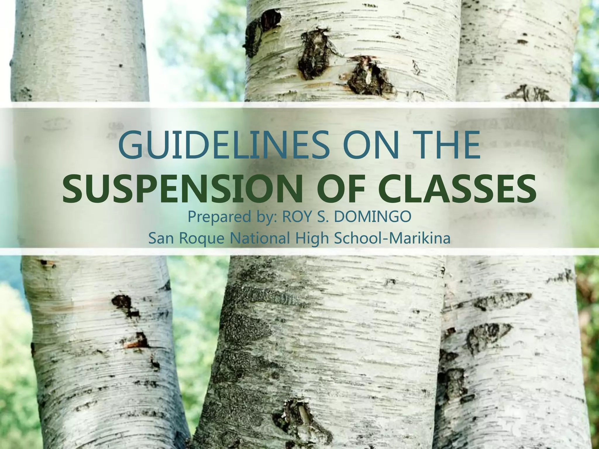 Guidelines on the Suspension of Classes | PPTX