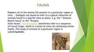 Class- VII Plants and Animals found in Haryana & Manipur.pptx