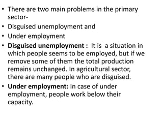 Sectors of Indian Economy Class 10 CBSE Economic | PPTX