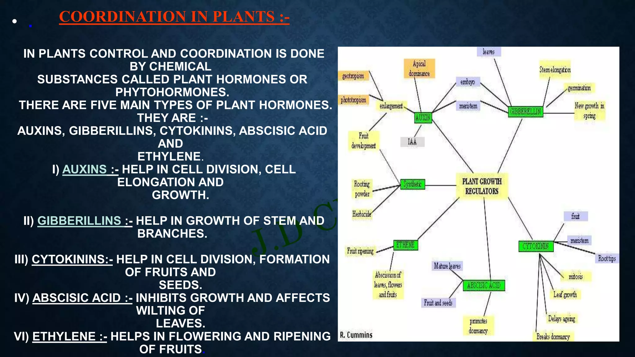 CLASS-XTH(Control and coordination).pptx