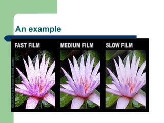 Class 009 film speed & format | PPT