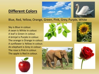 KIDS GENERAL KNOWLEDGE | PPTX