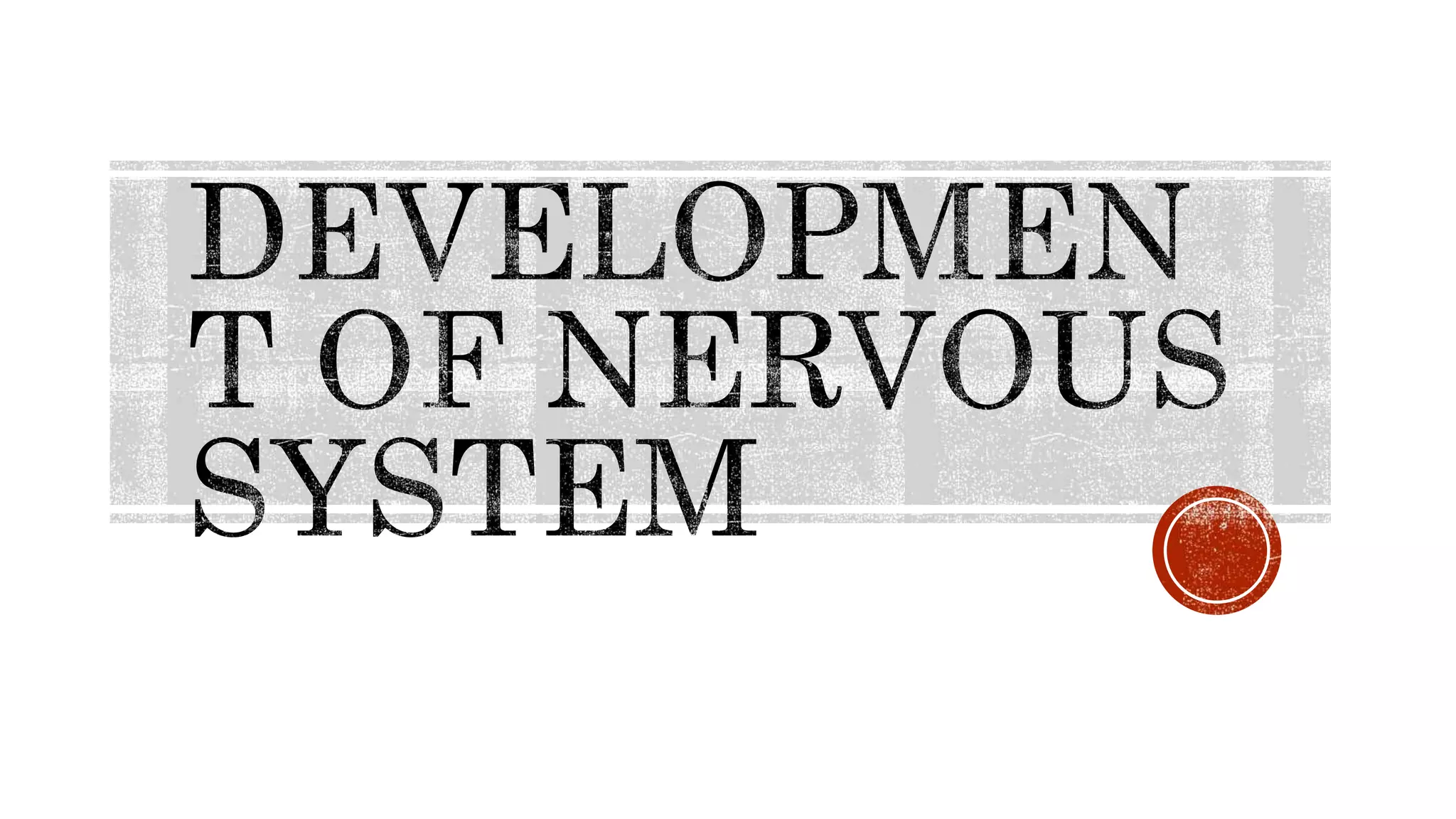 Development of CNS | PPT