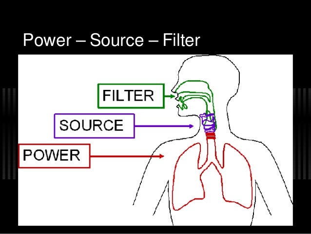 Class 07 emerson_phonetics_fall2014_source_filter_vowels_velum_articu…