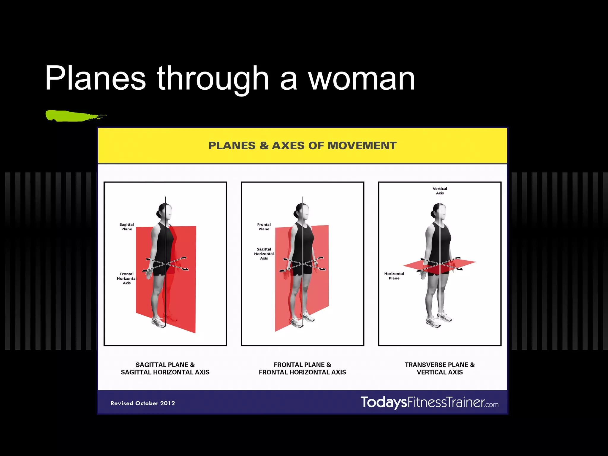 Class 08 emerson_phonetics_fall2014_articulation_vowels_consonants | PPT