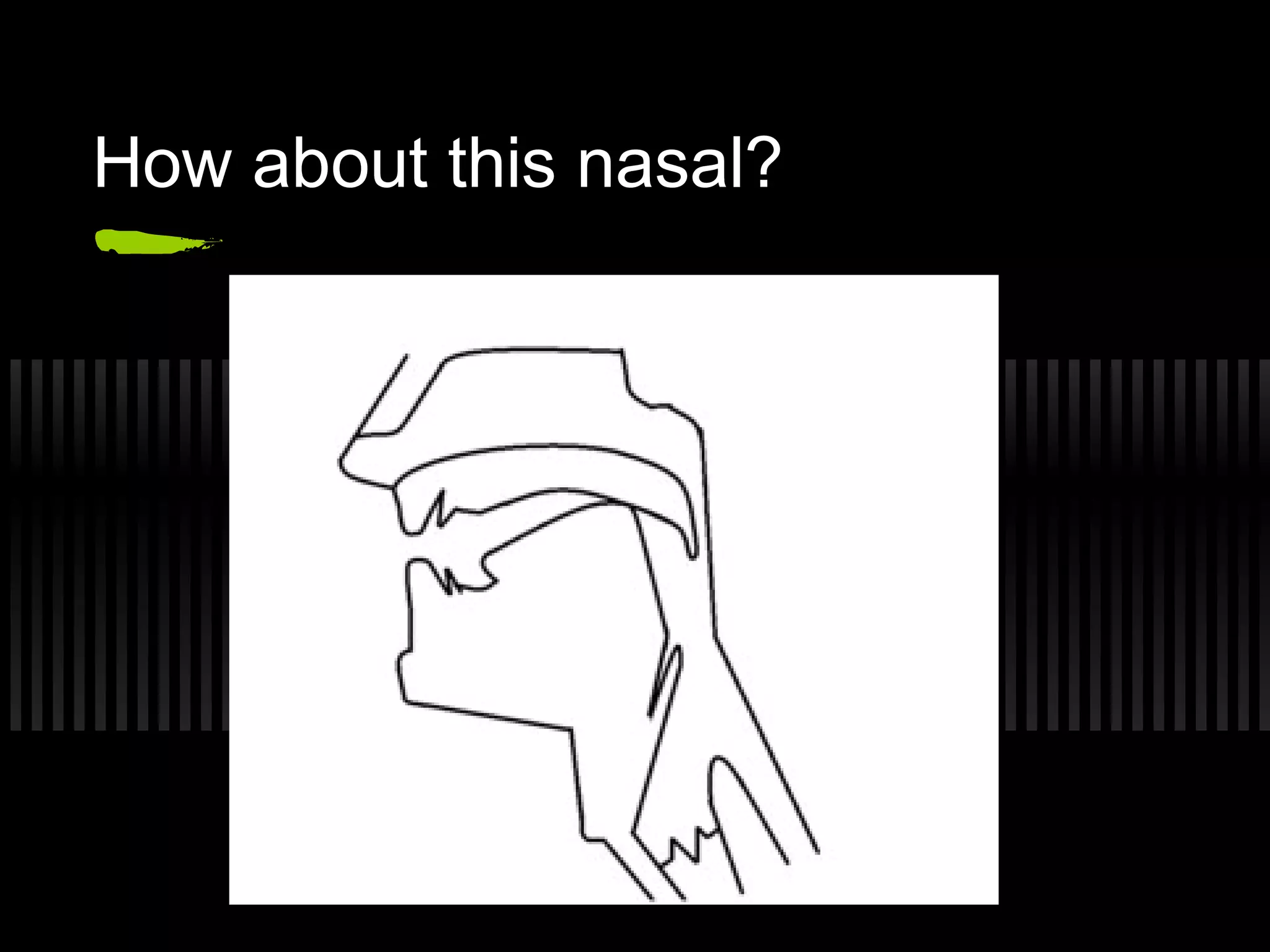 Class 08 emerson_phonetics_fall2014_articulation_vowels_consonants | PPT