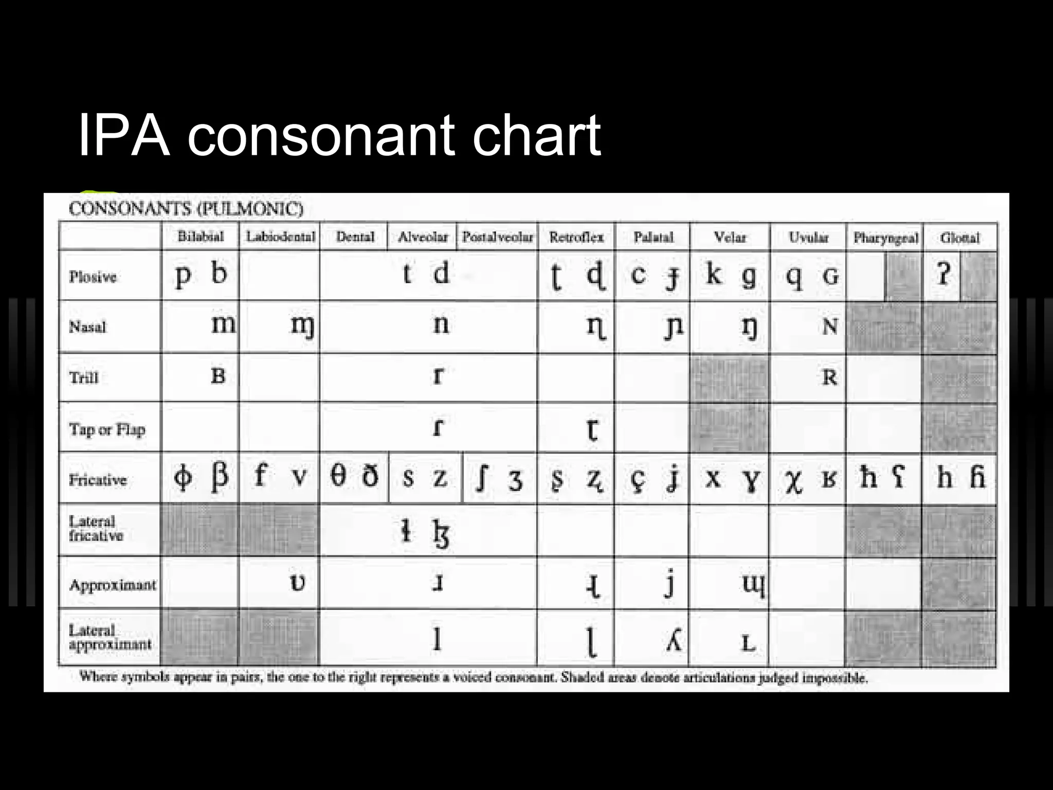 Class 08 emerson_phonetics_fall2014_articulation_vowels_consonants | PPT