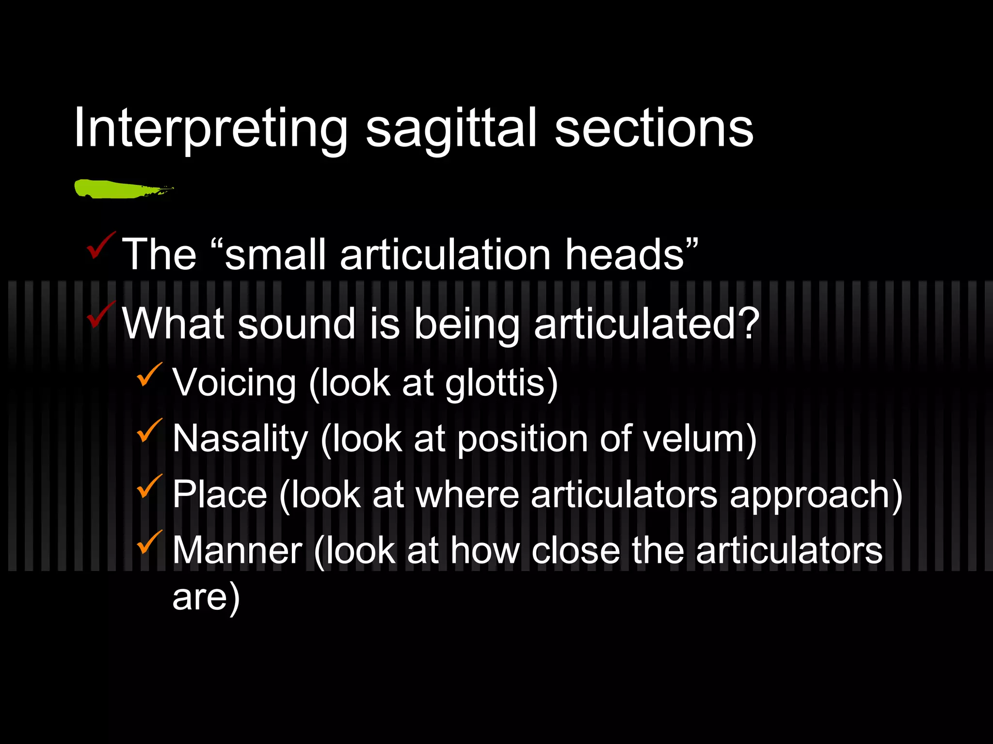 Class 08 emerson_phonetics_fall2014_articulation_vowels_consonants | PPT