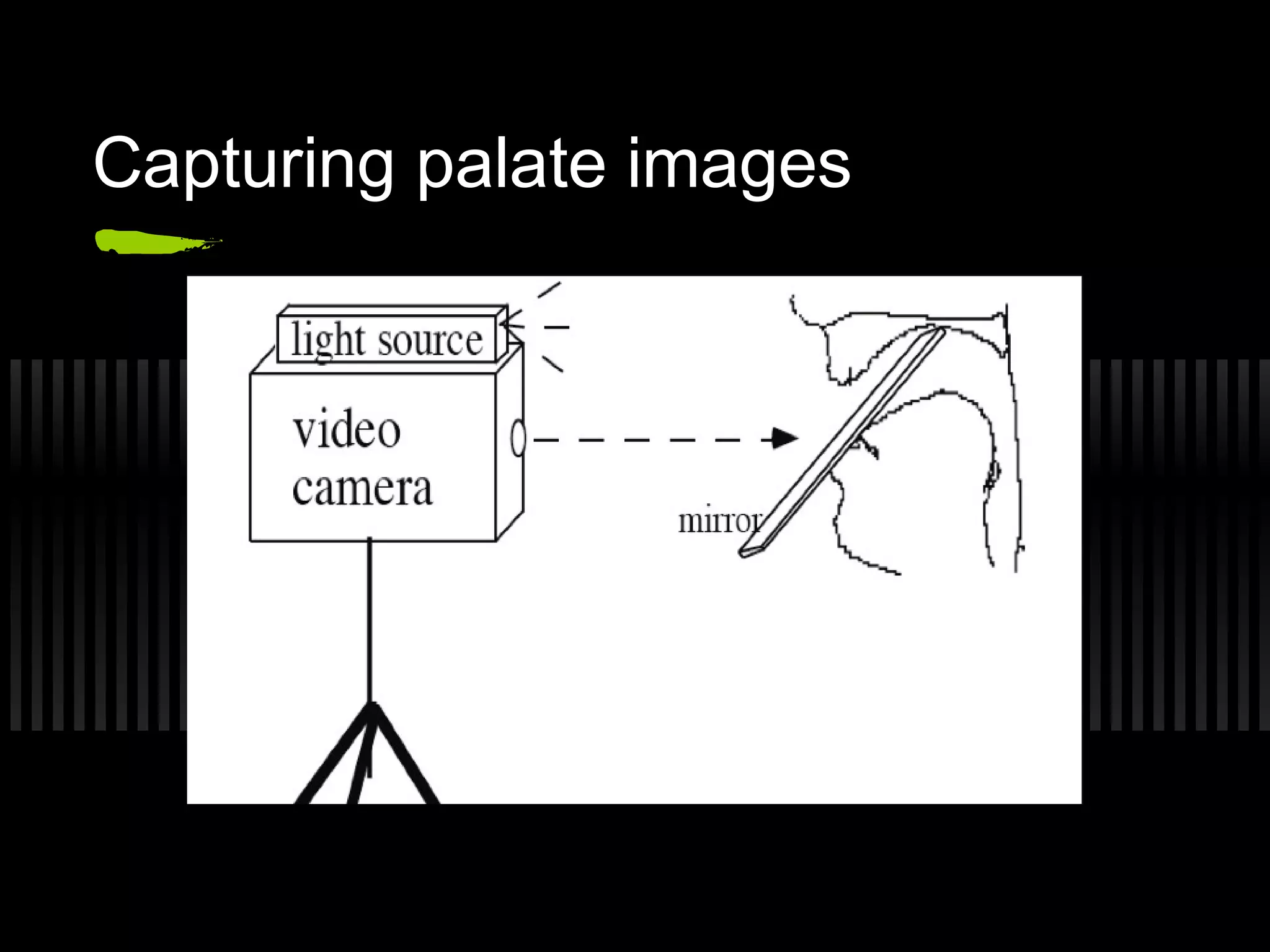 Class 08 emerson_phonetics_fall2014_articulation_vowels_consonants | PPT