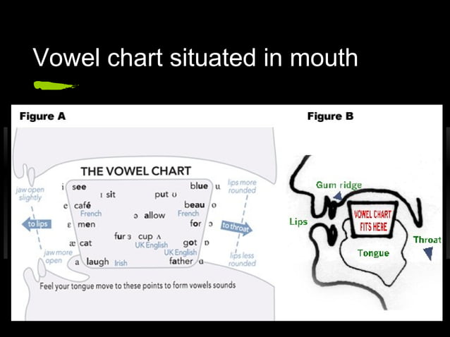 Class 08 emerson_phonetics_fall2014_articulation_vowels_consonants | PPT