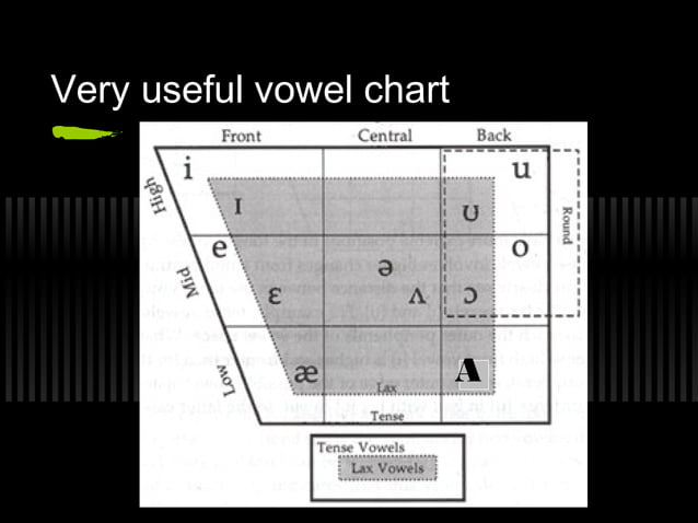 Class 08 emerson_phonetics_fall2014_articulation_vowels_consonants | PPT