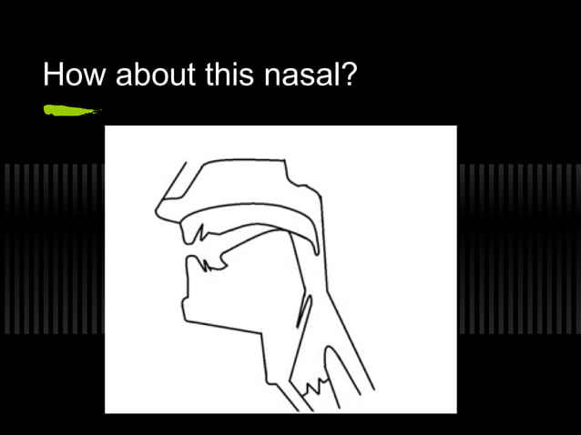 Class 08 emerson_phonetics_fall2014_articulation_vowels_consonants | PPT