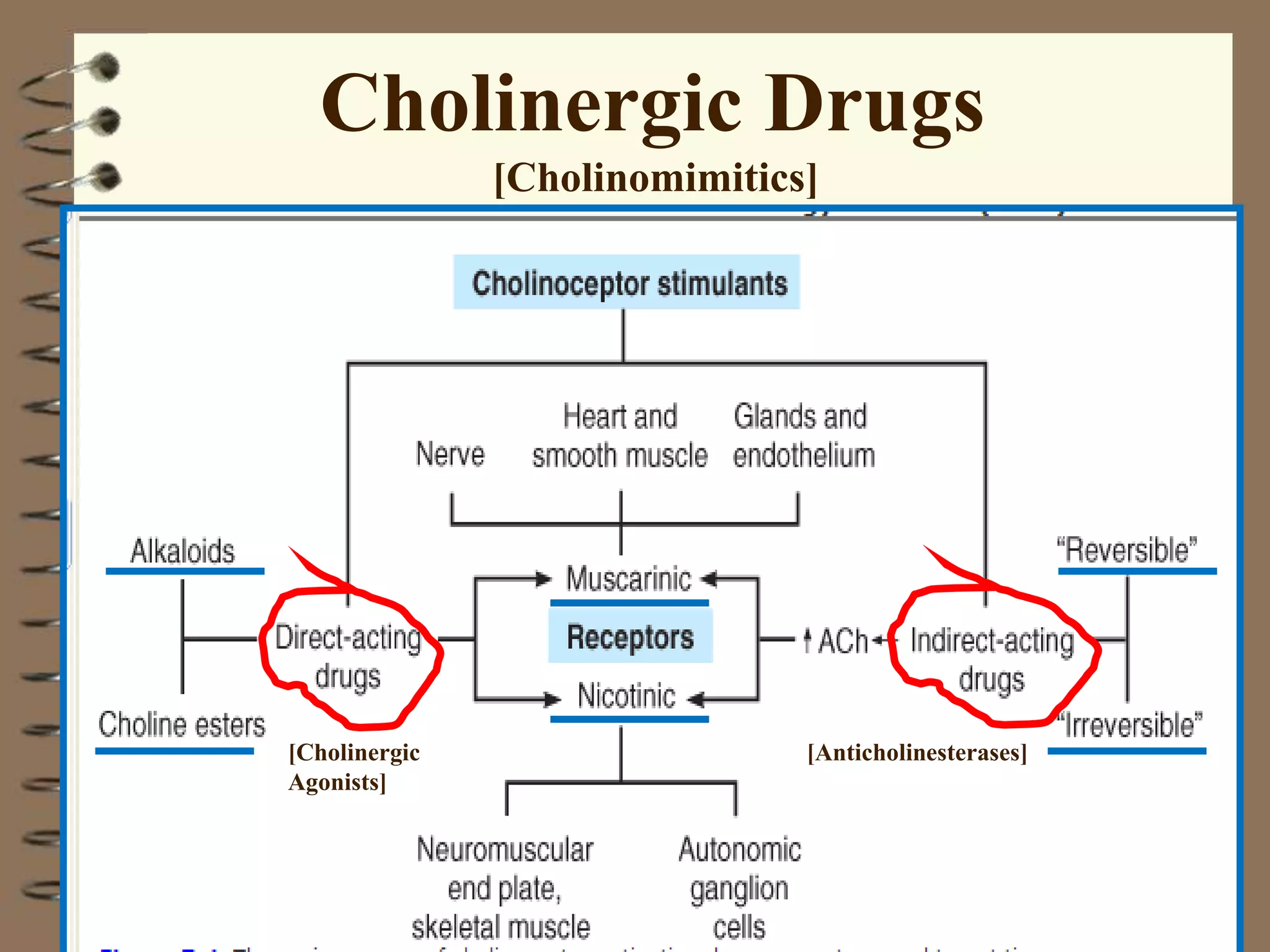 Cholinergic system Class I | PPT