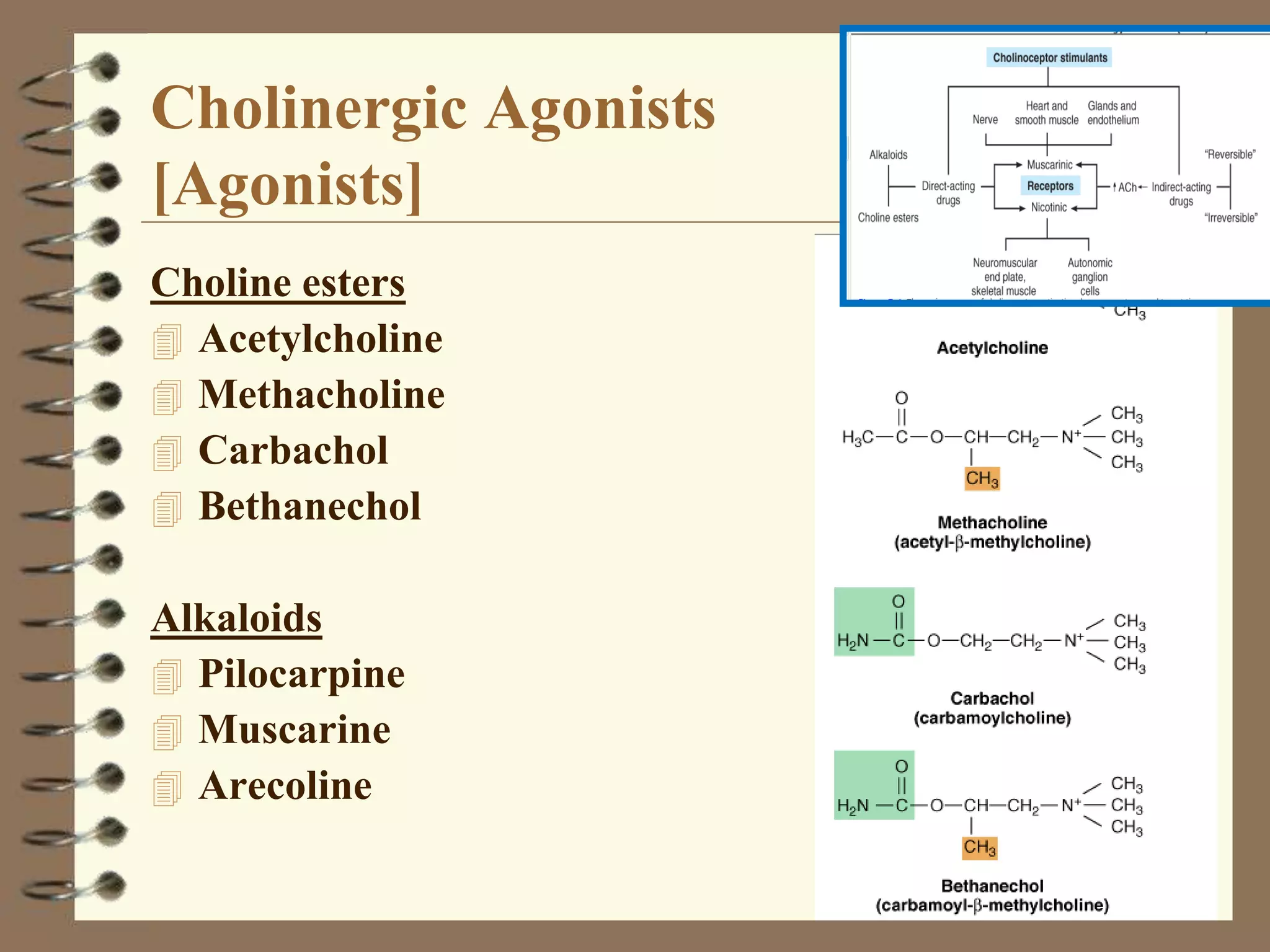 Cholinergic system Class I | PPT