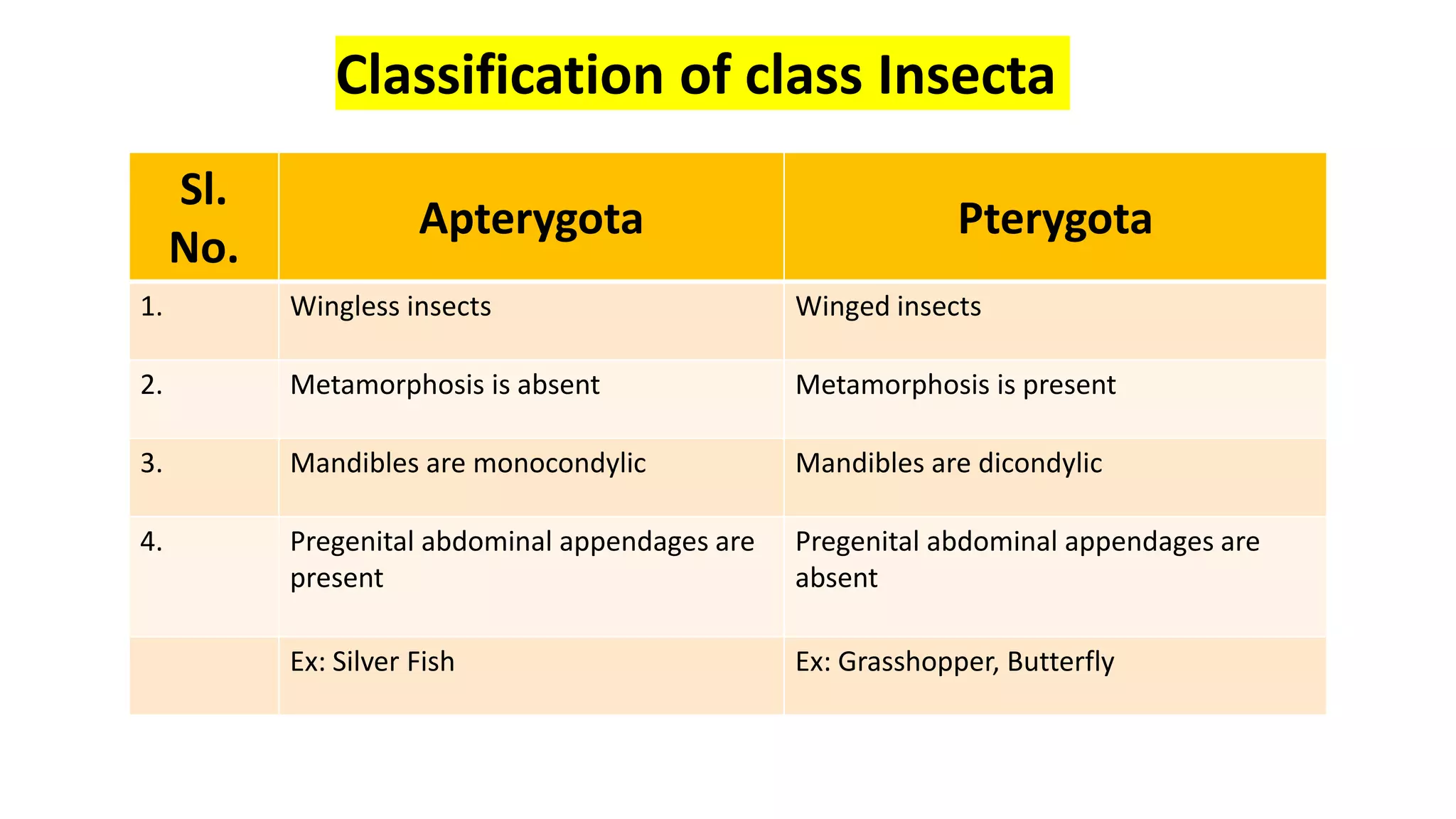 Introduction to entomology | PPTX