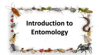 Introduction to entomology | PPTX