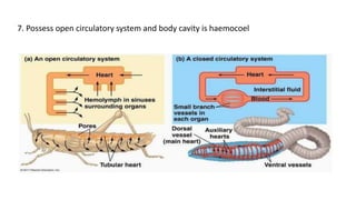 Introduction to entomology | PPTX
