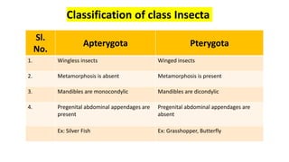 Introduction to entomology | PPTX