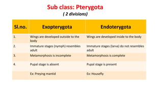 Introduction to entomology | PPTX