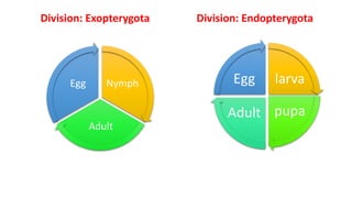 Introduction to entomology | PPTX