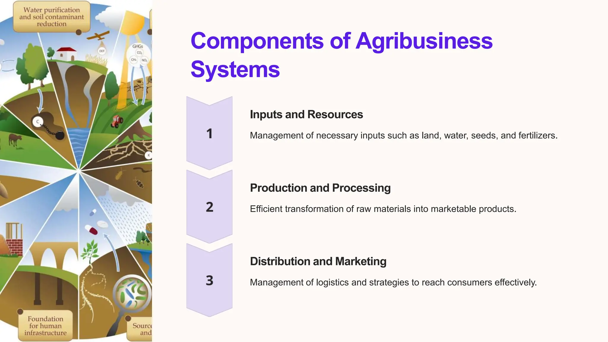 introduction to agribusiness management in agriculture | PPTX