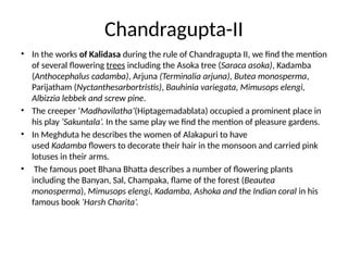 history and definition of ornamental horticulture | PPTX