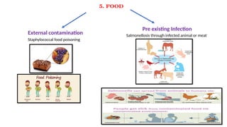 Infection- Classification, Types, Diagnosis, Features | PPTX ...