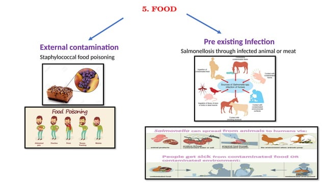 Infection- Classification, Types, Diagnosis, Features | PPTX ...