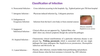 Infection- Classification, Types, Diagnosis, Features | PPT