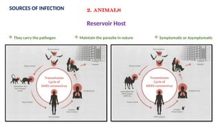 Infection- Classification, Types, Diagnosis, Features | PPTX
