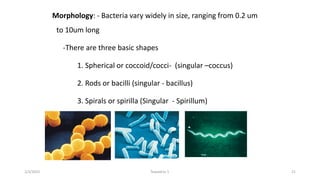 class 1- intro & classification.pptx