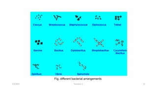class 1- intro & classification.pptx