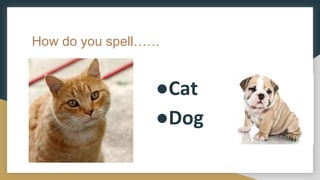 Class 1- intro to class and alphabet.ppt