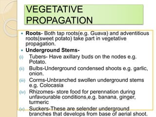 Class 10 - Reproduction.pptx