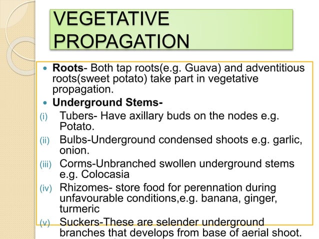 Class 10 - Reproduction.pptx