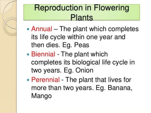Class 10 - Reproduction.pptx