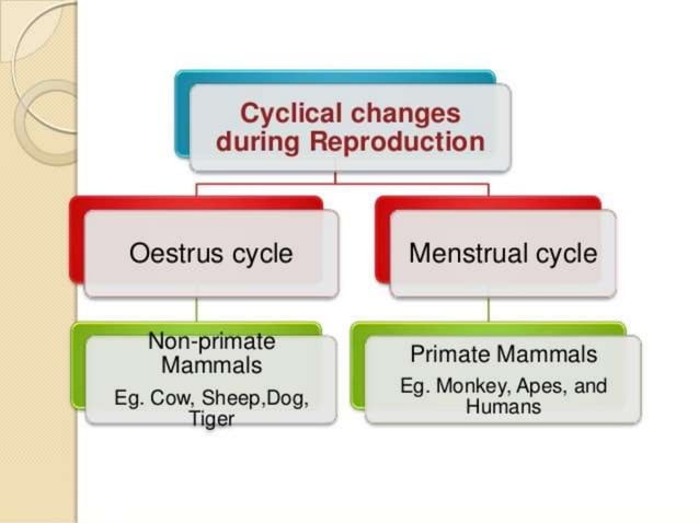 Class 10 - Reproduction.pptx