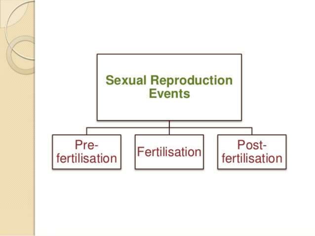 Class 10 - Reproduction.pptx