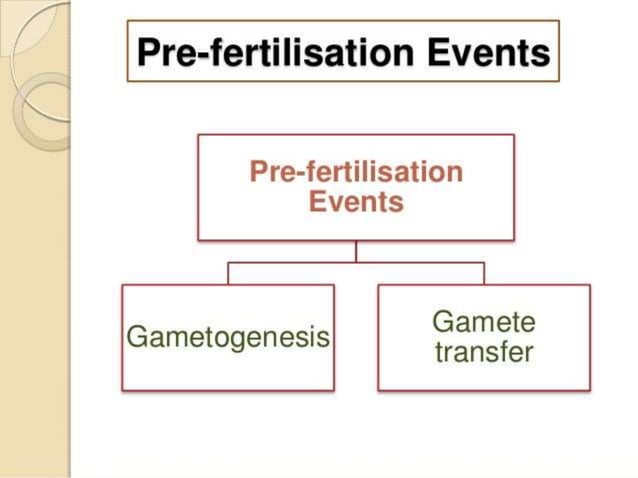 Class 10 - Reproduction.pptx