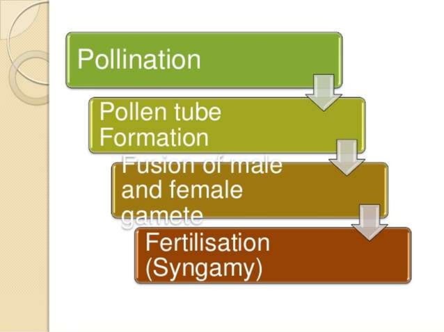Class 10 - Reproduction.pptx