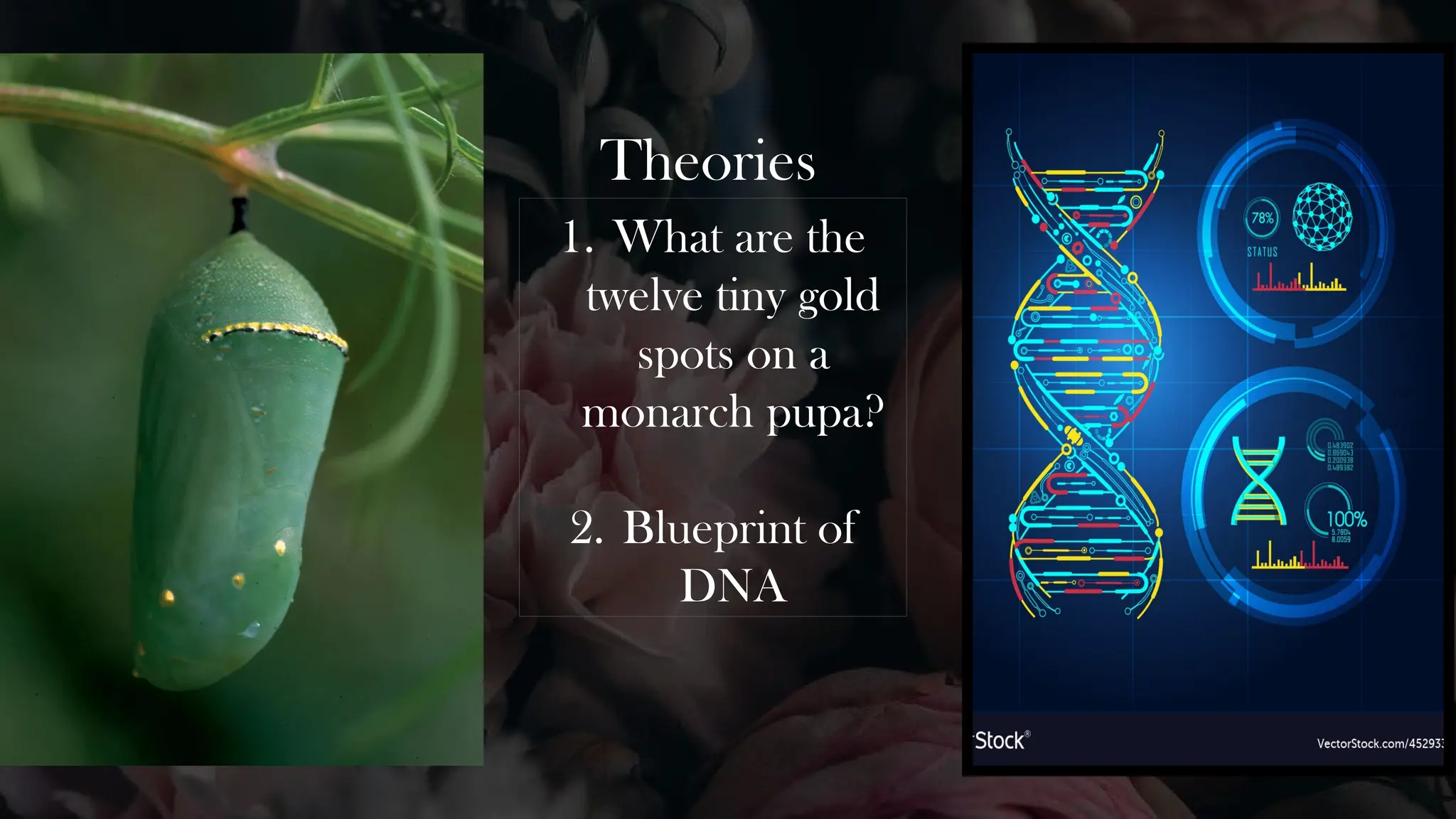 Class 10-The Making of a Scientist-Seminar.pptx
