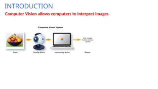 Class 10 AI 417 Computer Vision.pptxxxtx | PPTX