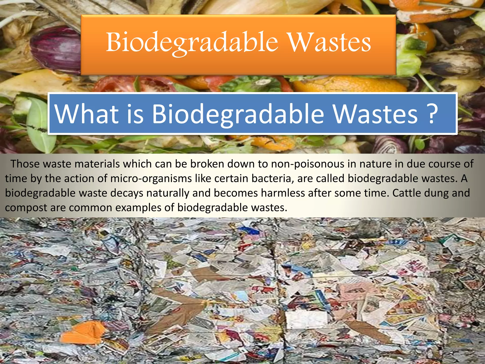 Biodegradable and non- biodegradable wastes {Diphu_ Abhinab Boruah} | PPTX