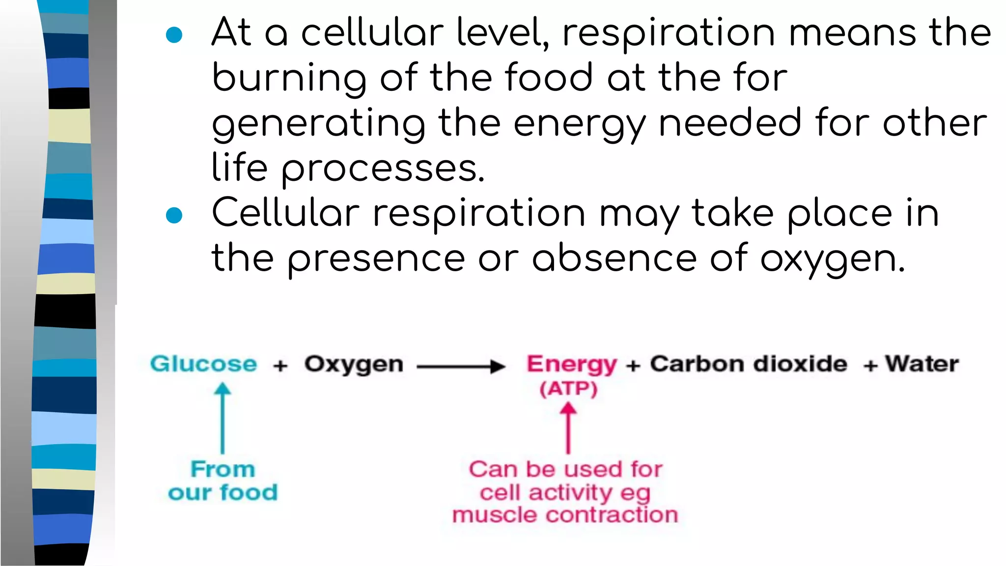 Class 10 biology_chapter_1_life processes | PDF | Lung and Respiratory ...