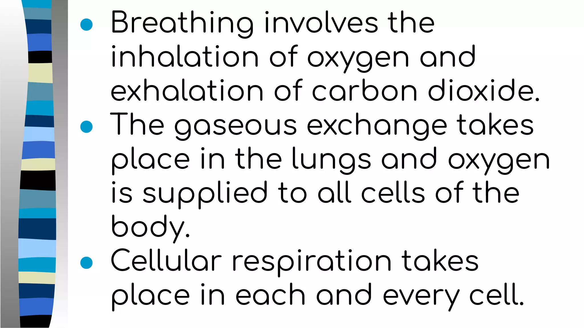Class 10 biology_chapter_1_life processes | PDF | Lung and Respiratory ...