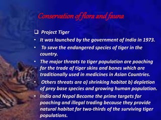 wildlife and forest resources | PPTX