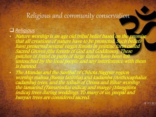 wildlife and forest resources | PPTX